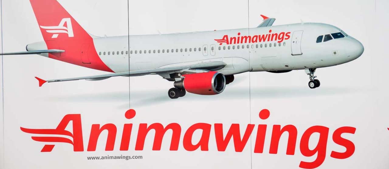 Bagaje Animawings 2026: Ghid Dimensiuni, Greutate și Taxe