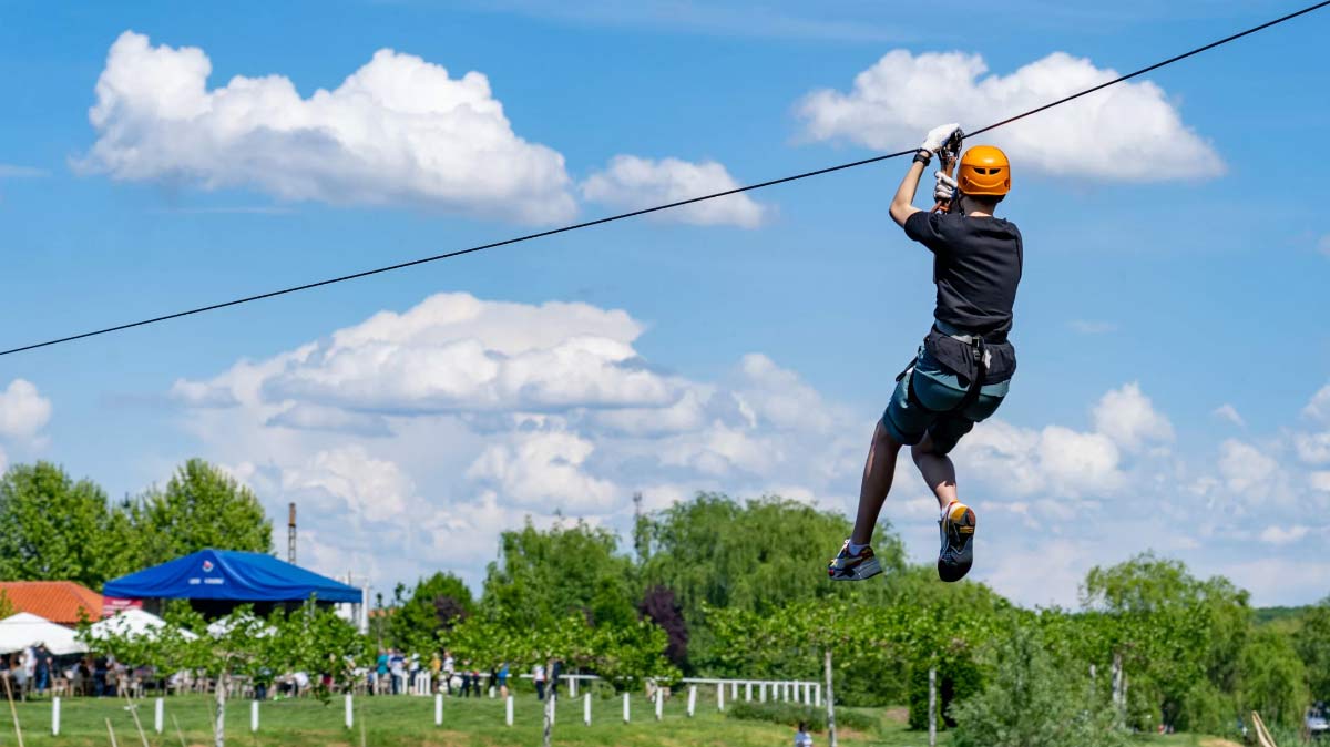 Contact Parc Aventura Brașov. Program, prețuri și trasee